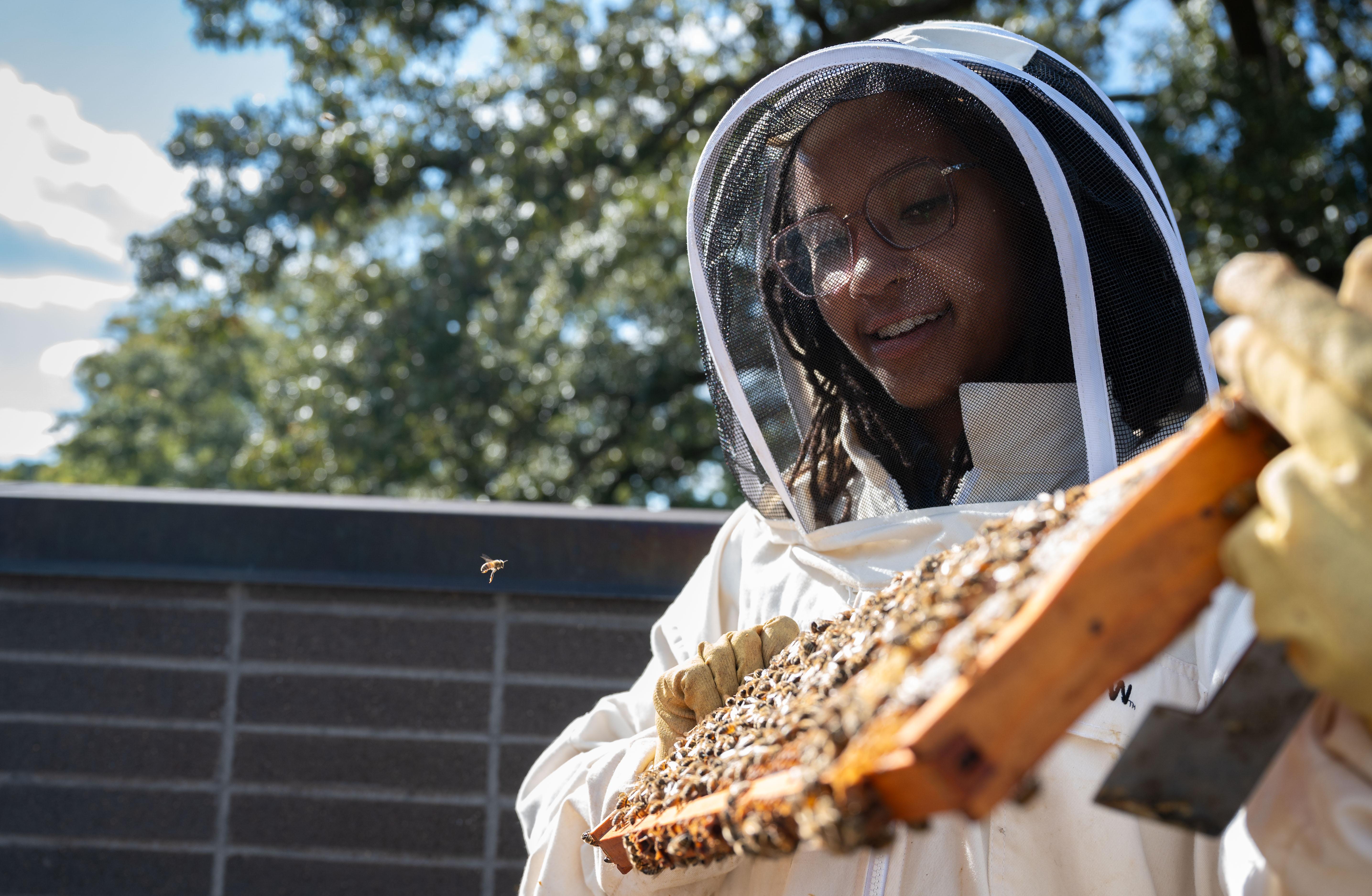 Janelle Dunlap Turns Beekeeping Into Art | Research